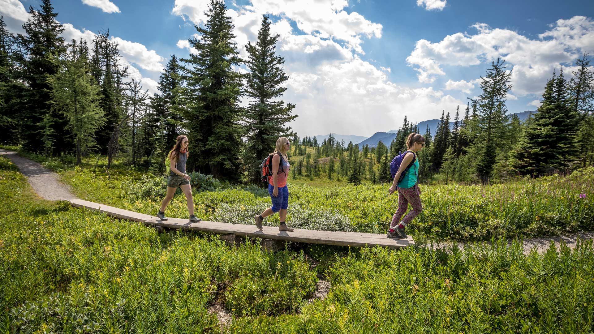 Nature Walks - Live It Up Lifestyle Adventures