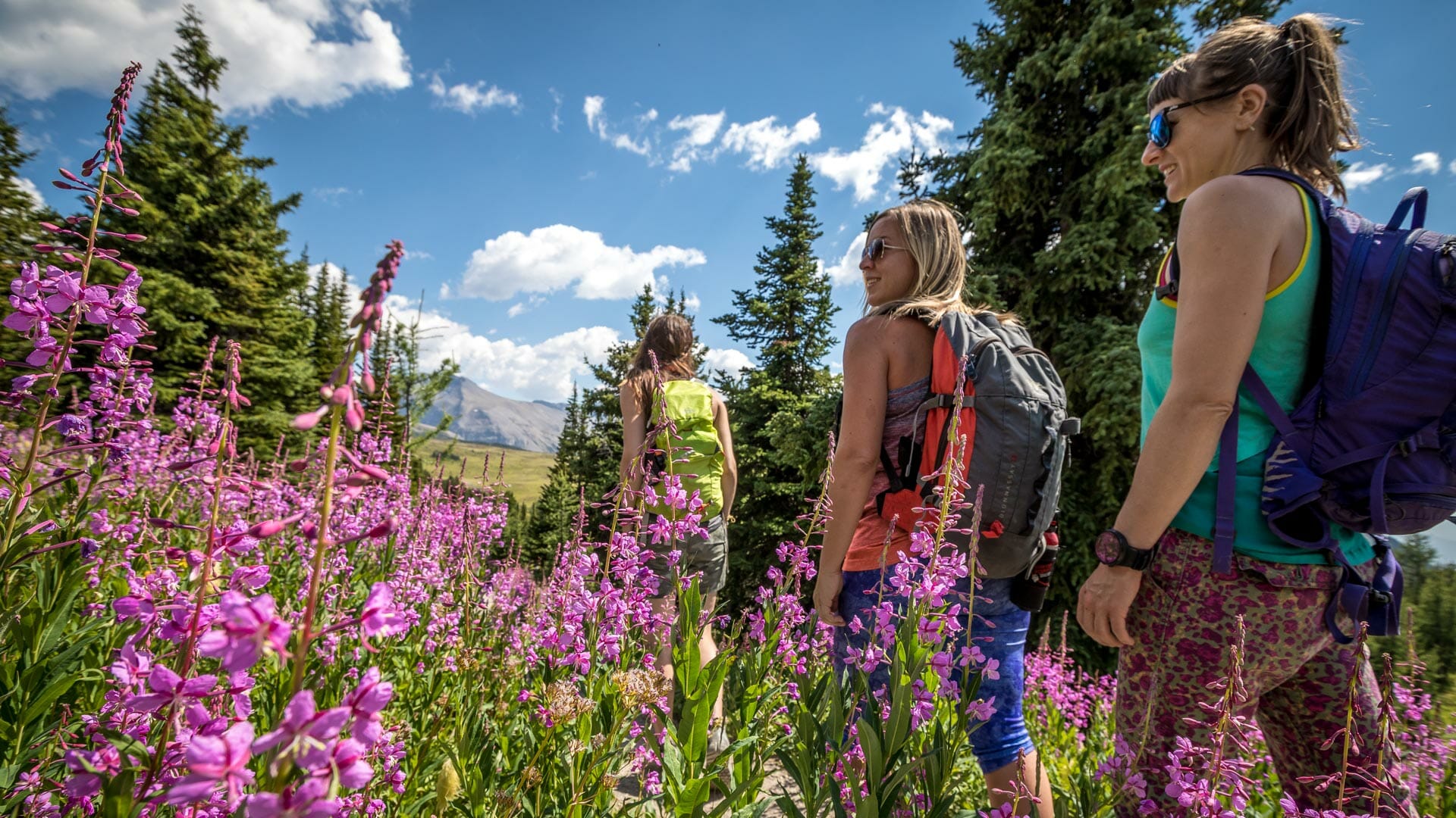 Hiking - Live It Up Lifestyle Adventures